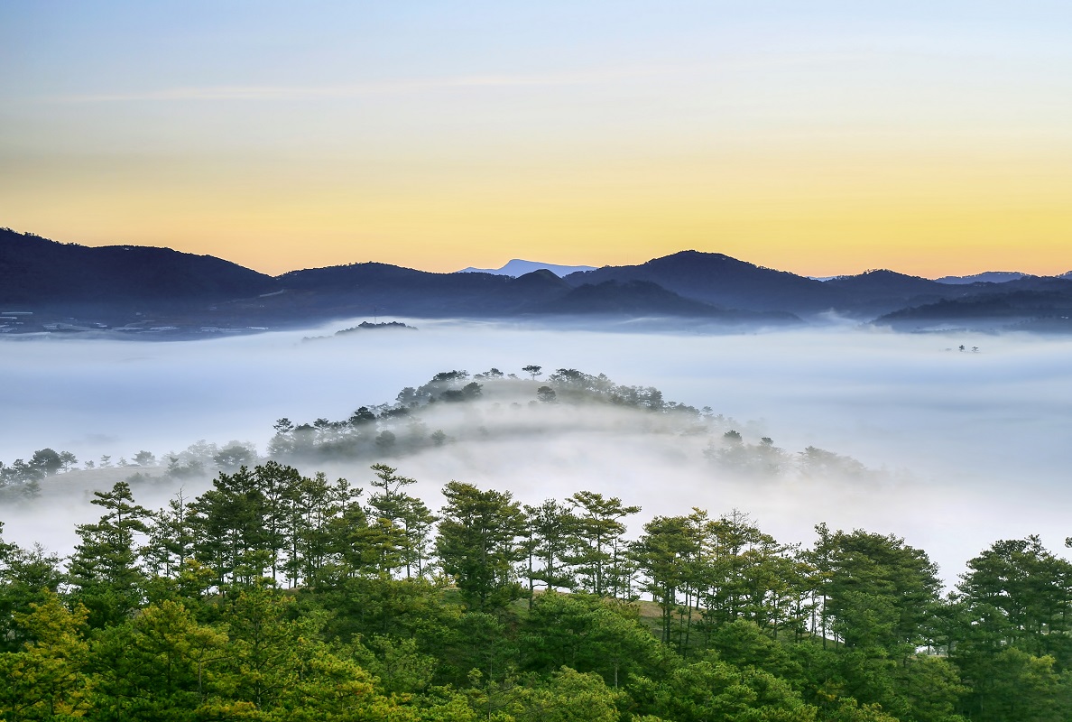 Lang Biang Biosphere Reserve - Unraveling the Mysteries of Vietnam's ...