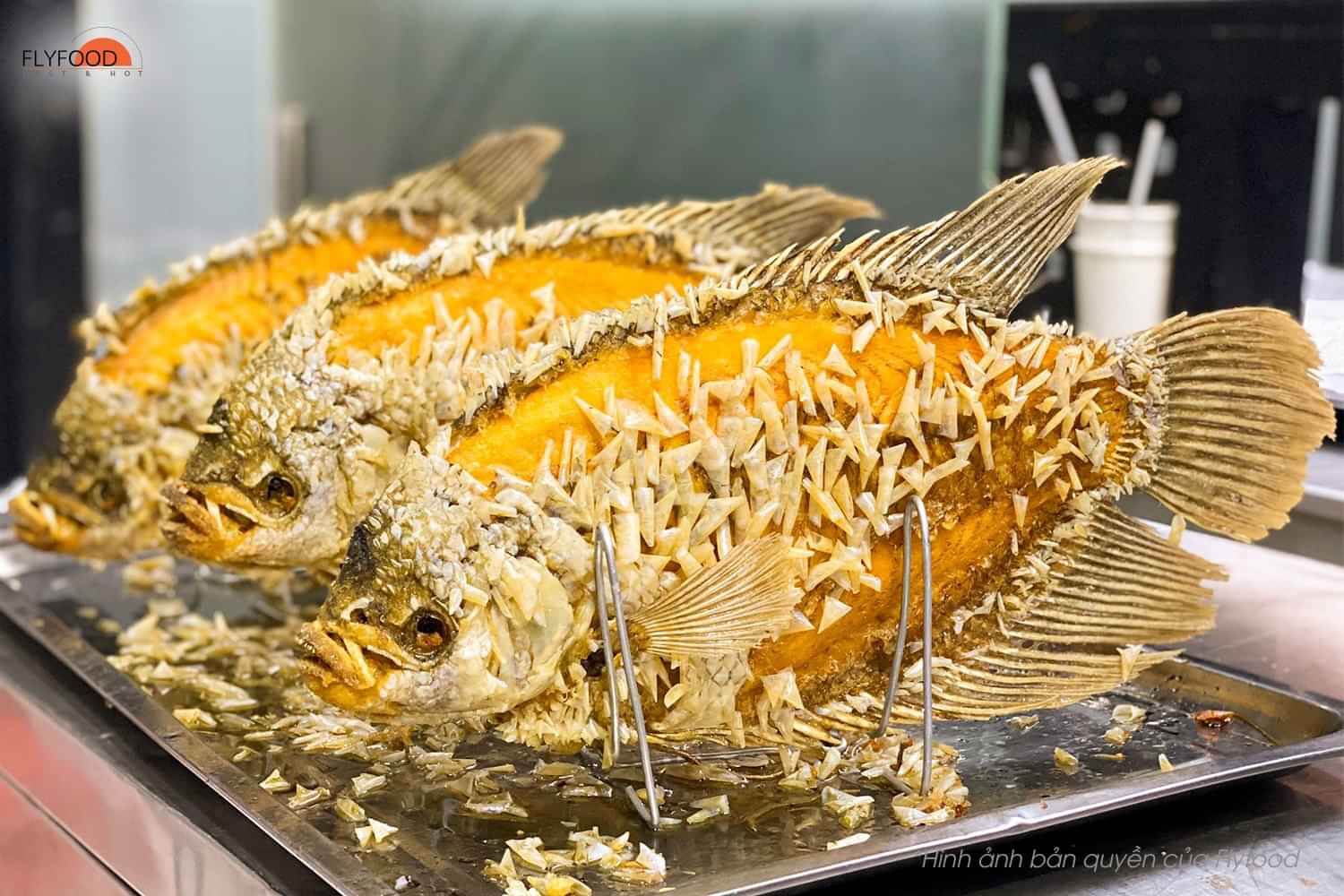 Cá Tai Tượng Chiên Xù - A Famous Fried Fish Dish of Vietnam - VIETNAM ...