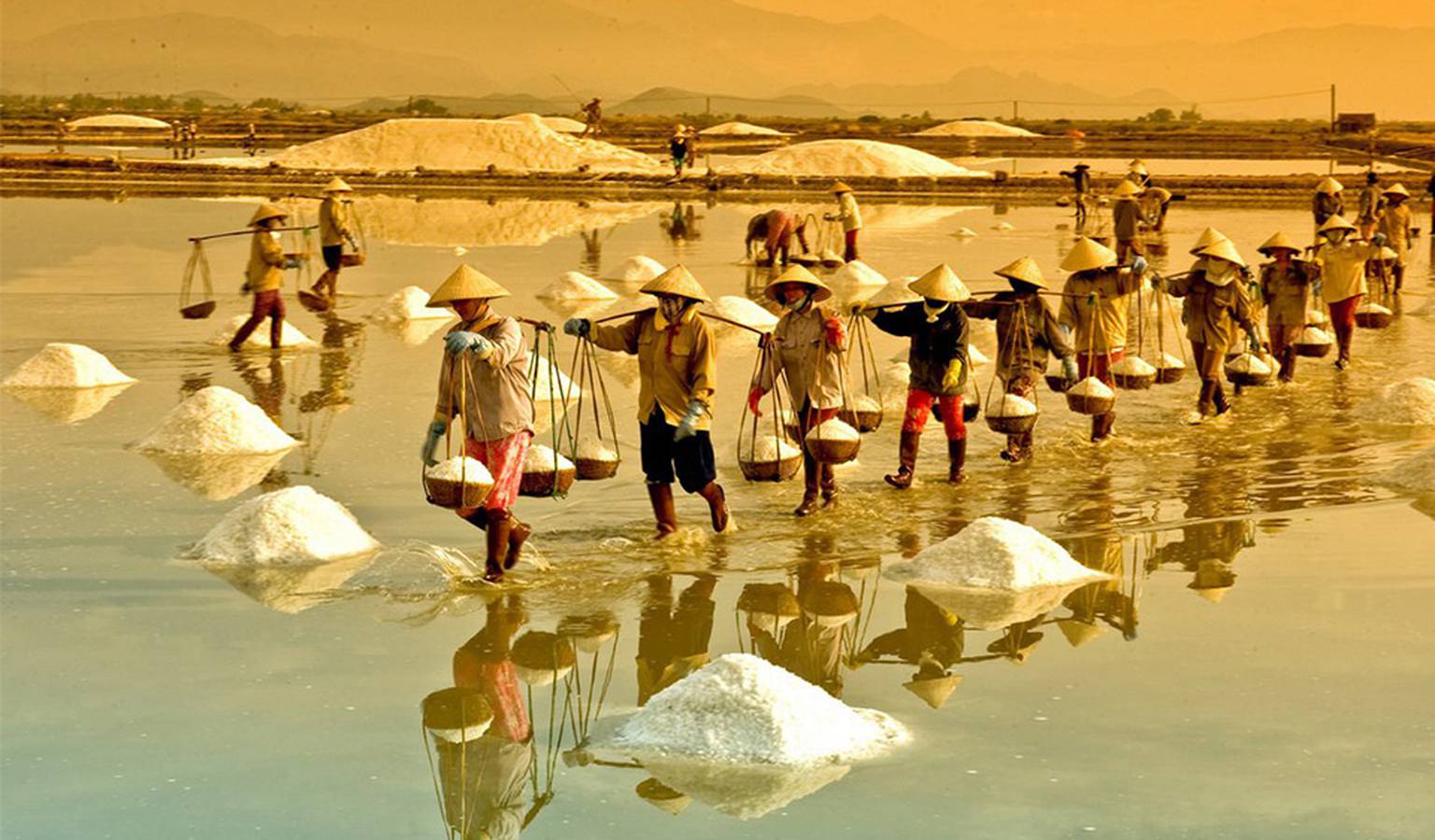 Vietnam Traditional Salt Field: A Cultural and Economic Heritage ...